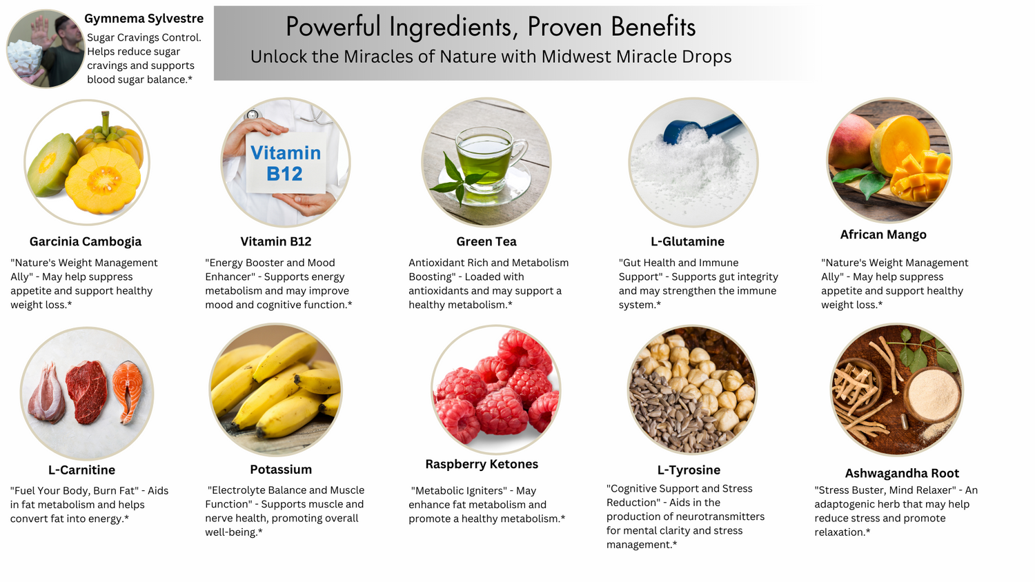Ingredients of the Midwest Miracle Drops – Midwest Miracle Health and ...