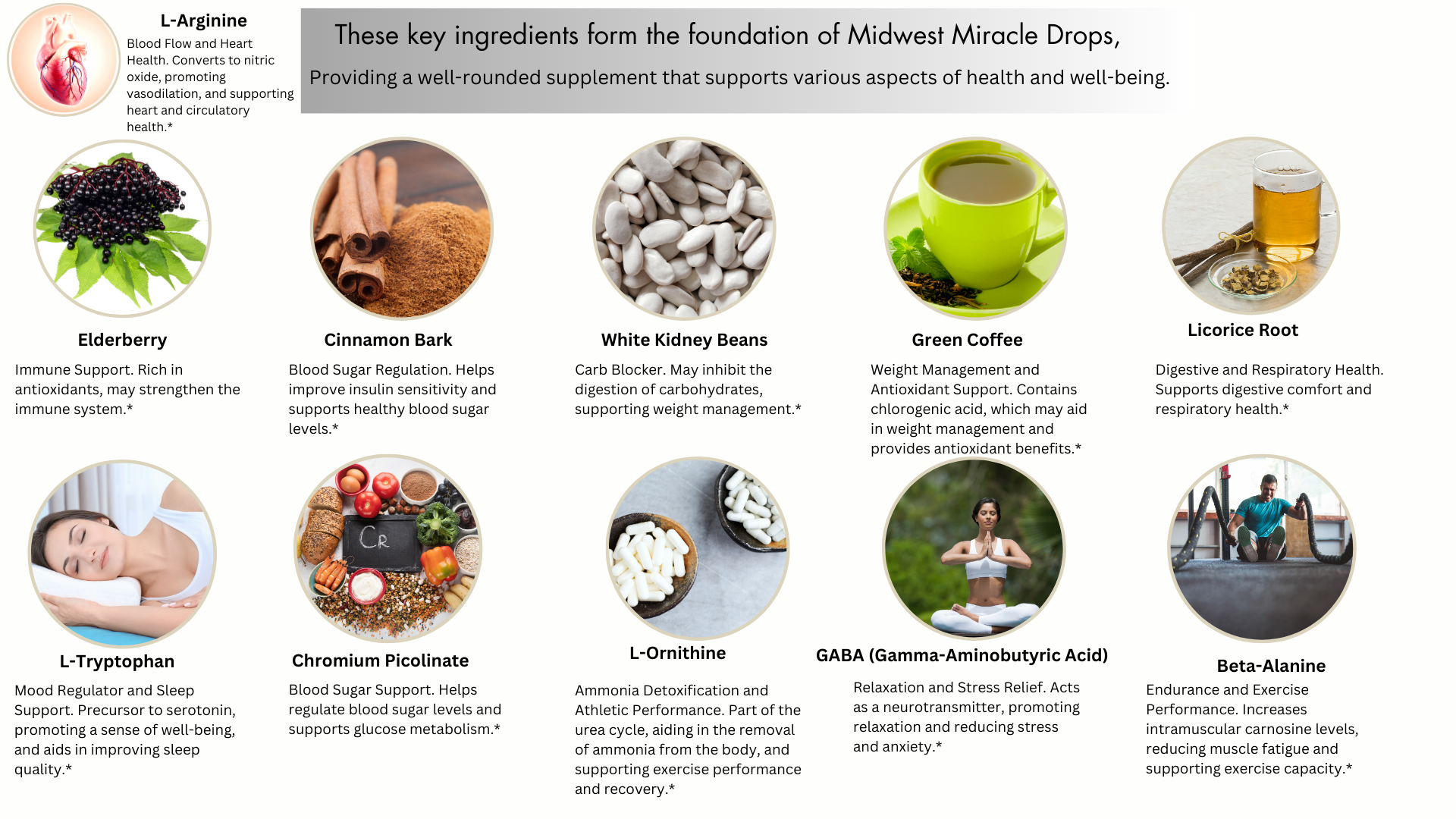 Ingredients of the Midwest Miracle Drops – Midwest Miracle Health and ...